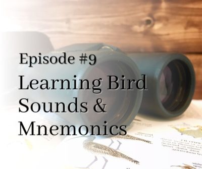 Bird Sounds and Mnemonics: Tips for Birding by Ear - Birding Tools